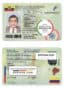 Ecuador ID template in PSD format, fully editable | roposh