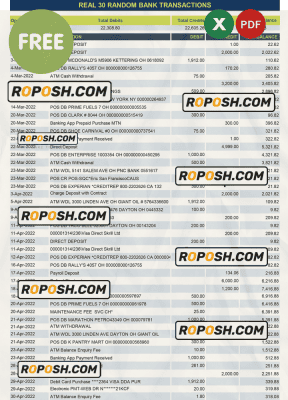 Qatar Doha Bank statement template in Word and PDF format | roposh