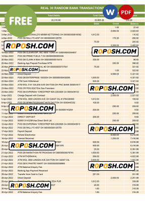 real 30 random bank transactions Word and PDF template | roposh