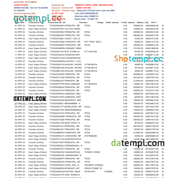 Bangladesh Agrani Bank statement, Word and PDF template | roposh