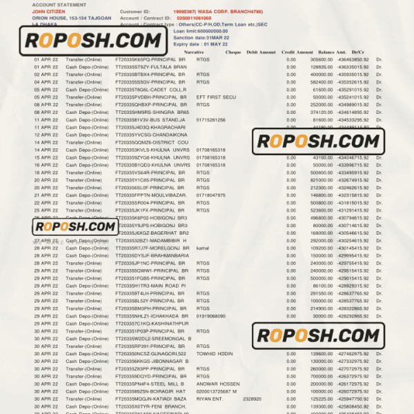 Bangladesh Agrani Bank statement, Word and PDF template | roposh