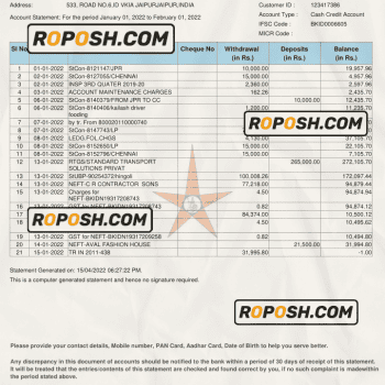 India Bank of India bank statement Word and PDF template | roposh