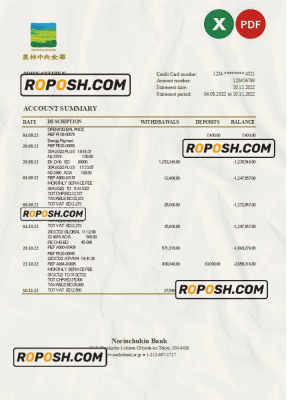 Japan Norinchukin bank statement Excel and PDF template | roposh