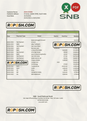 Saudi Arabia SNB bank statement, Excel and PDF template | roposh