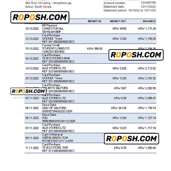 South Korea Woori bank statement, Excel and PDF template | roposh