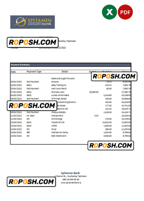 Tajikistan Spitamen Bank statement, Excel and PDF template | roposh