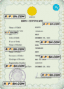 Japan vital record birth certificate PSD template | roposh
