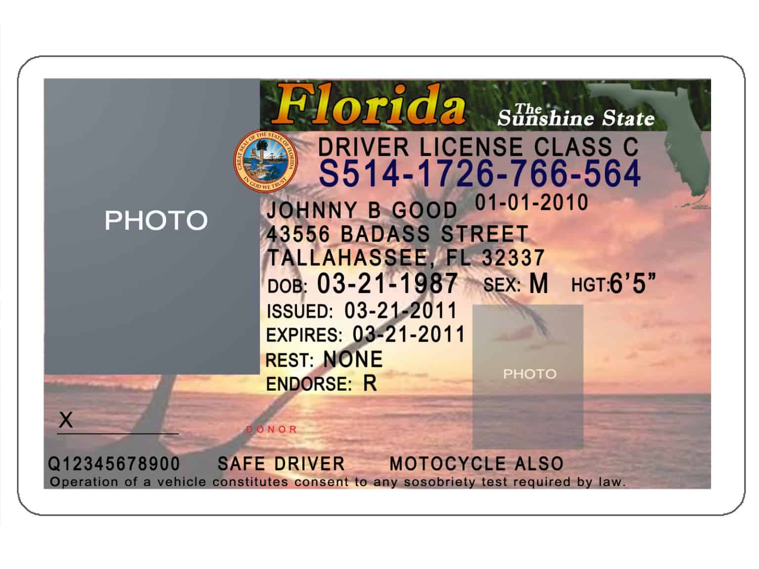 Florida Driver License Free Template | roposh