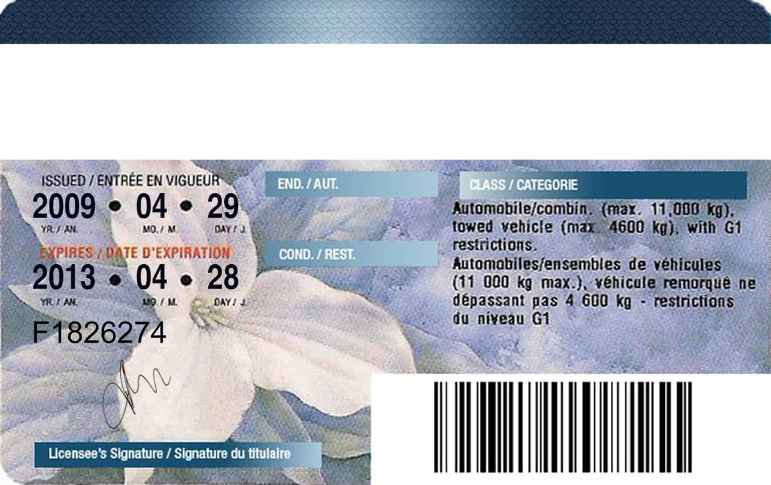Ontario Canada Driver License PSD Template - Editable