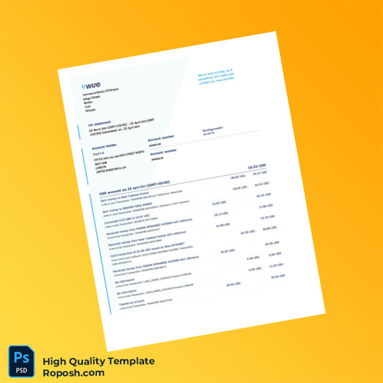 Ethiopia Business Account Statement Template in Word and PDF formats ...