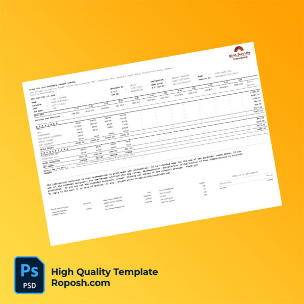 Birla Sun Life Insurance Company Limited payslip word and pdf template ...